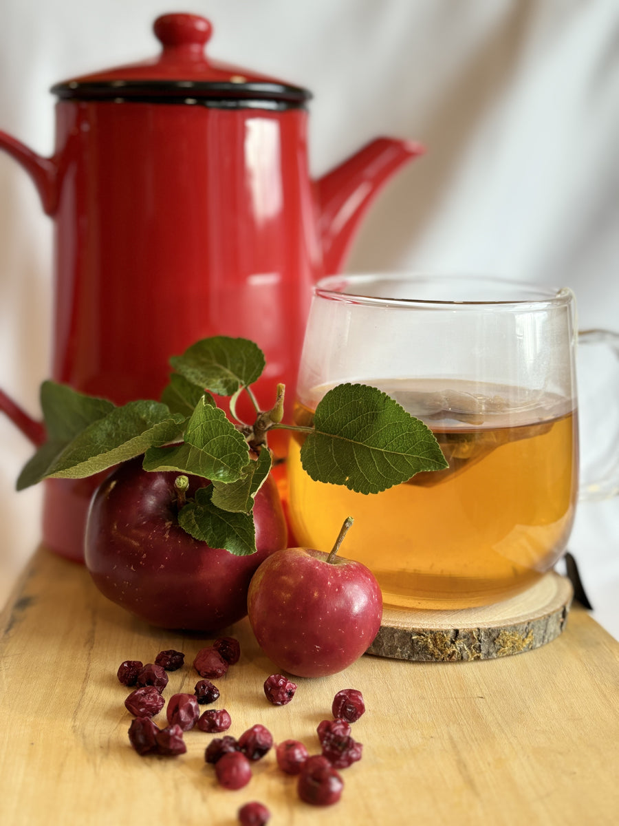Apple Partridgeberry Green Tea Blend – Wild Island Tea